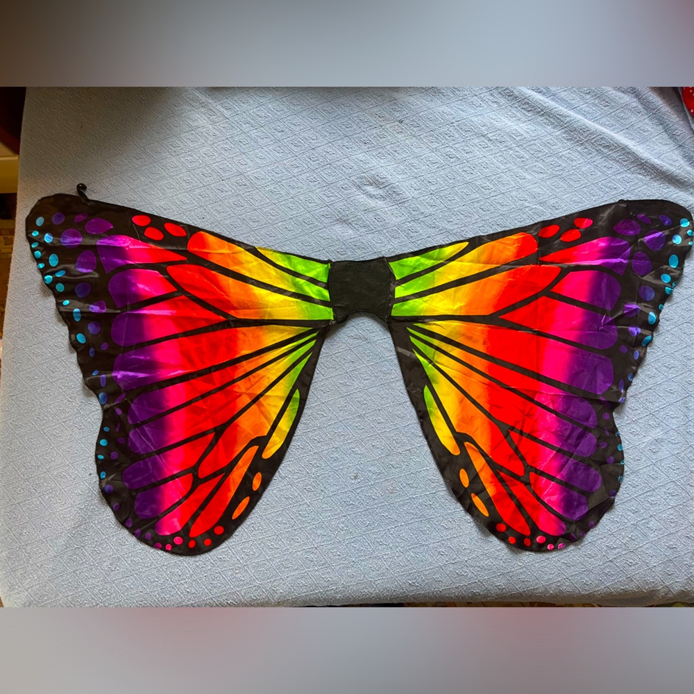 Rainbow Butterfly Wings For Costume - Gem